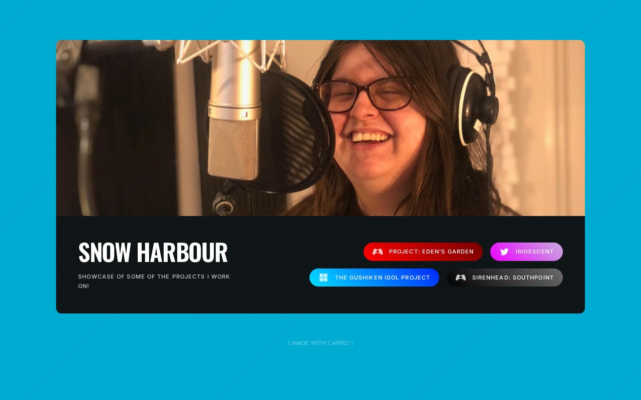 Snow Harbour Projects